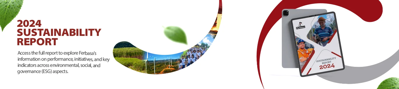 Homepage Institucional - Ferbasa RI